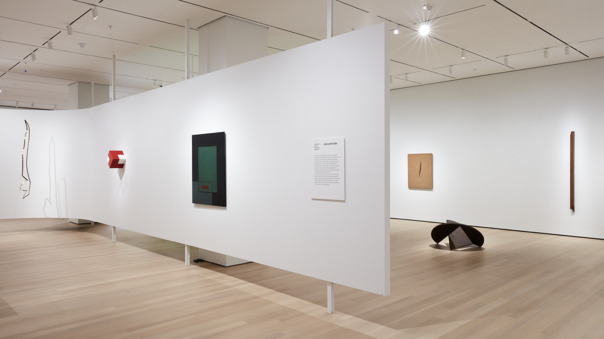 Installation view of the exhibition "Sur moderno: Journeys of ...