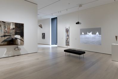 Robert Rauschenberg. Canyon. 1959 | MoMA