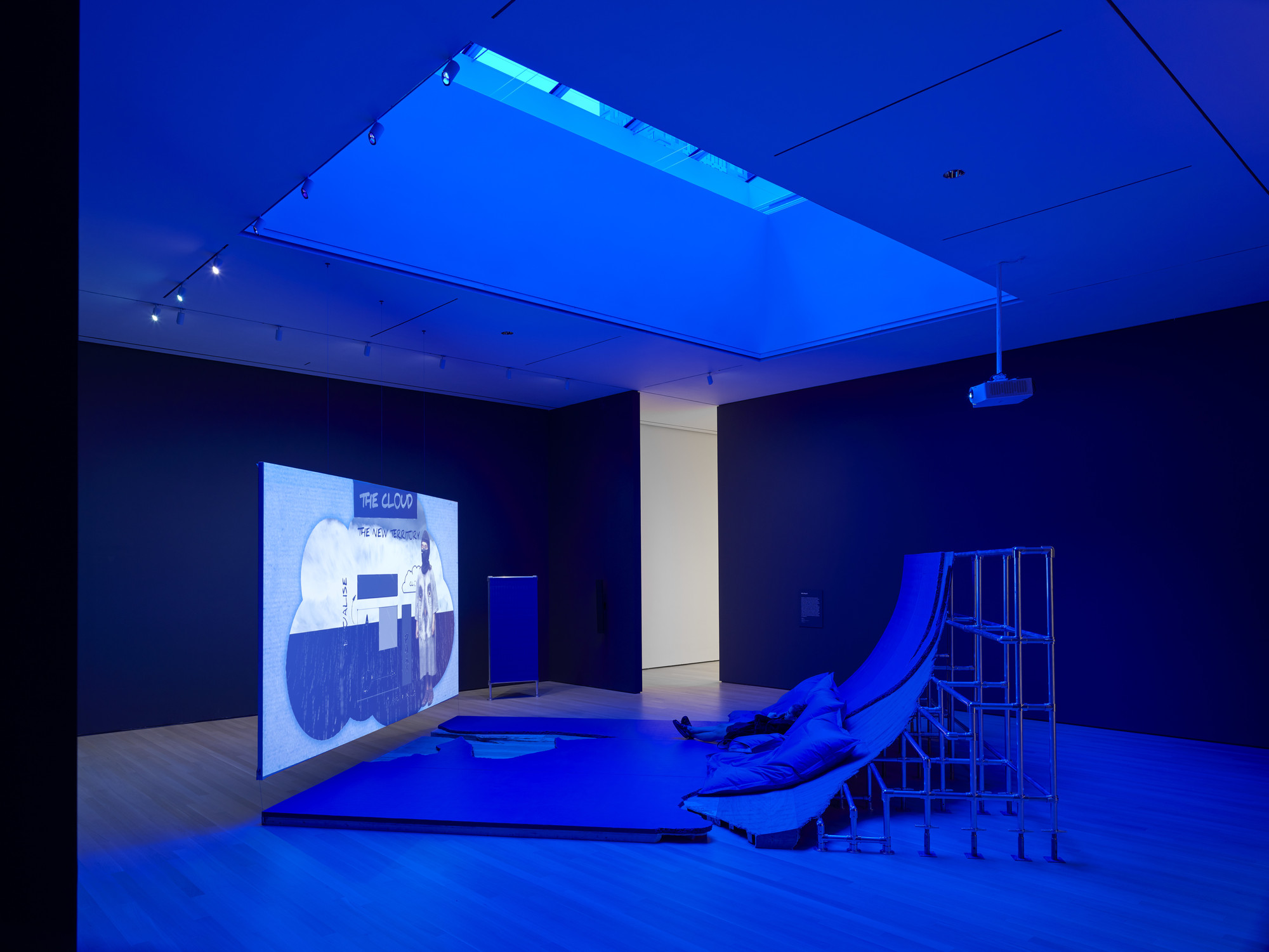 Installation view of the exhibition "Surrounds: 11 Installations" | MoMA