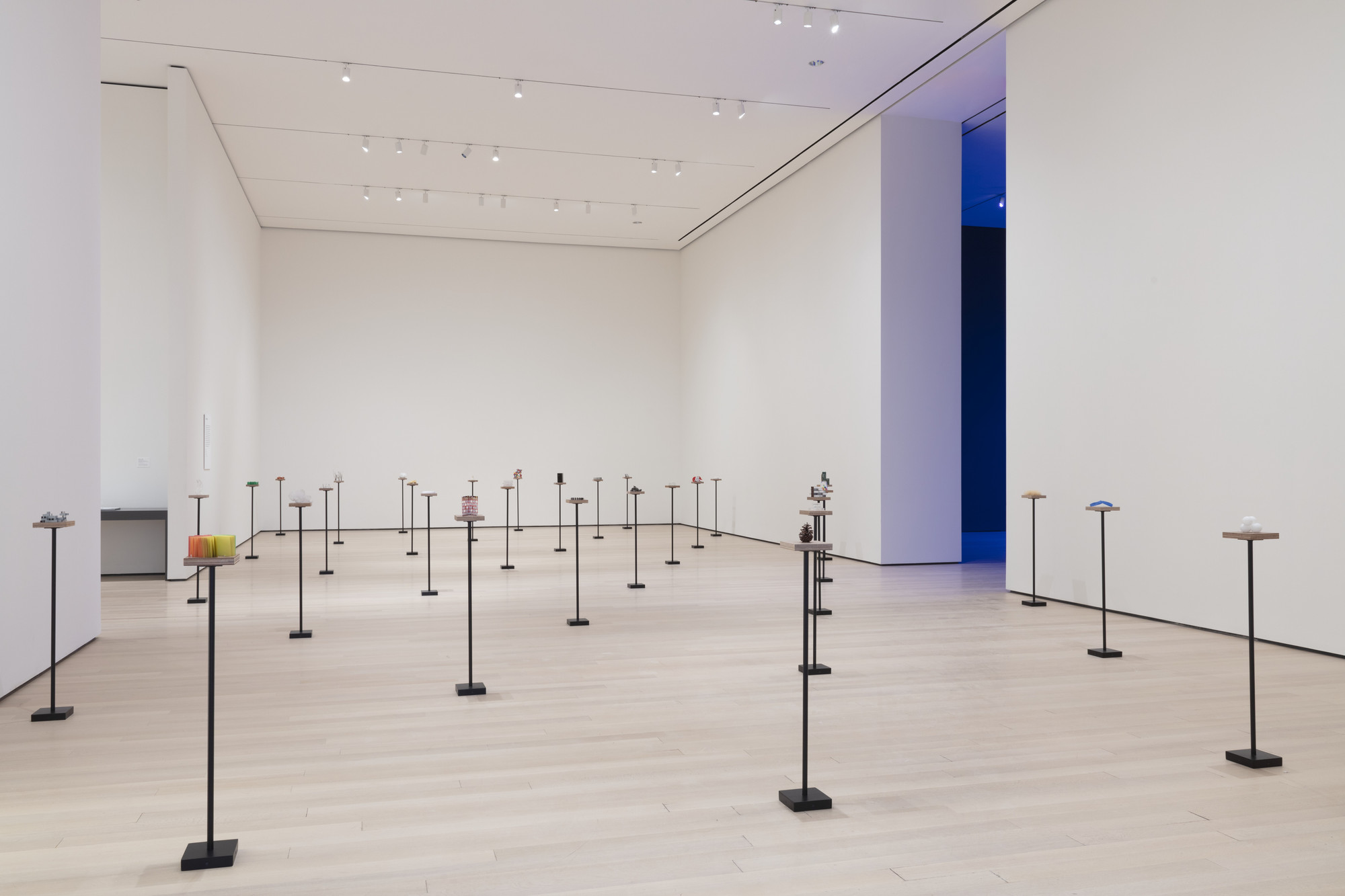 Installation view of the exhibition "Surrounds: 11 Installations" | MoMA