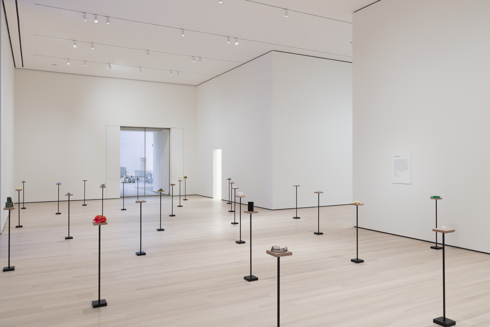 Installation view of the exhibition "Surrounds: 11 Installations" | MoMA
