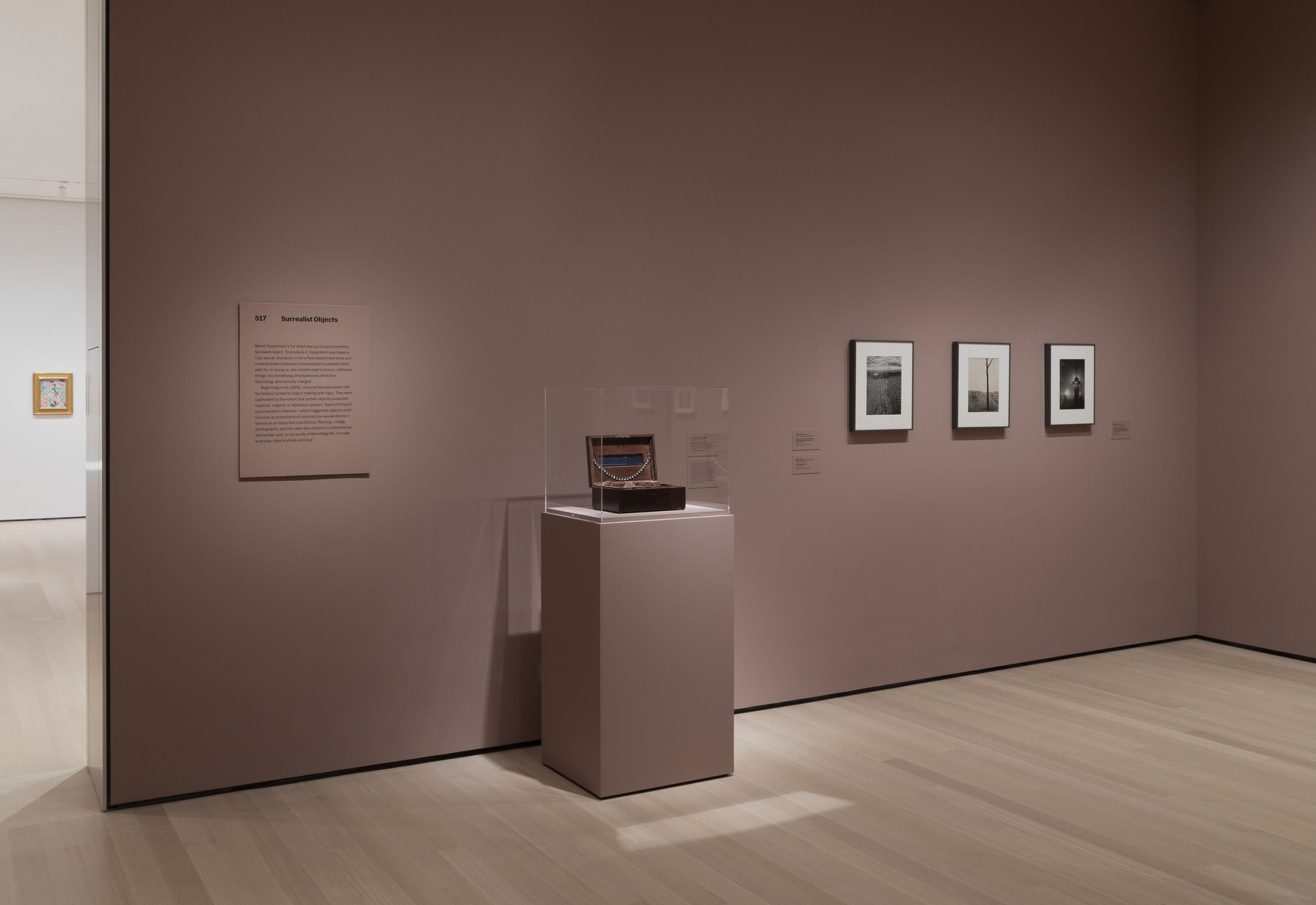 Installation view of the gallery "Surrealist Objects" in the exhibition ...
