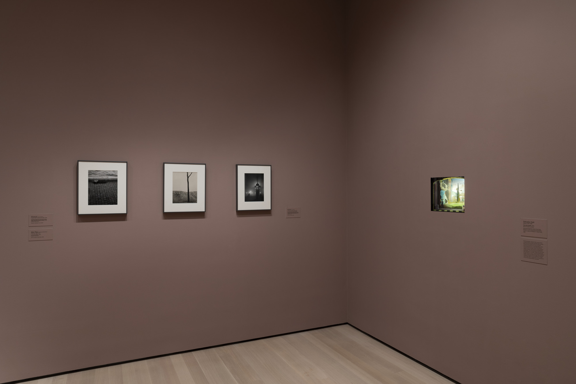 Installation view of the gallery "Surrealist Objects" in the exhibition ...