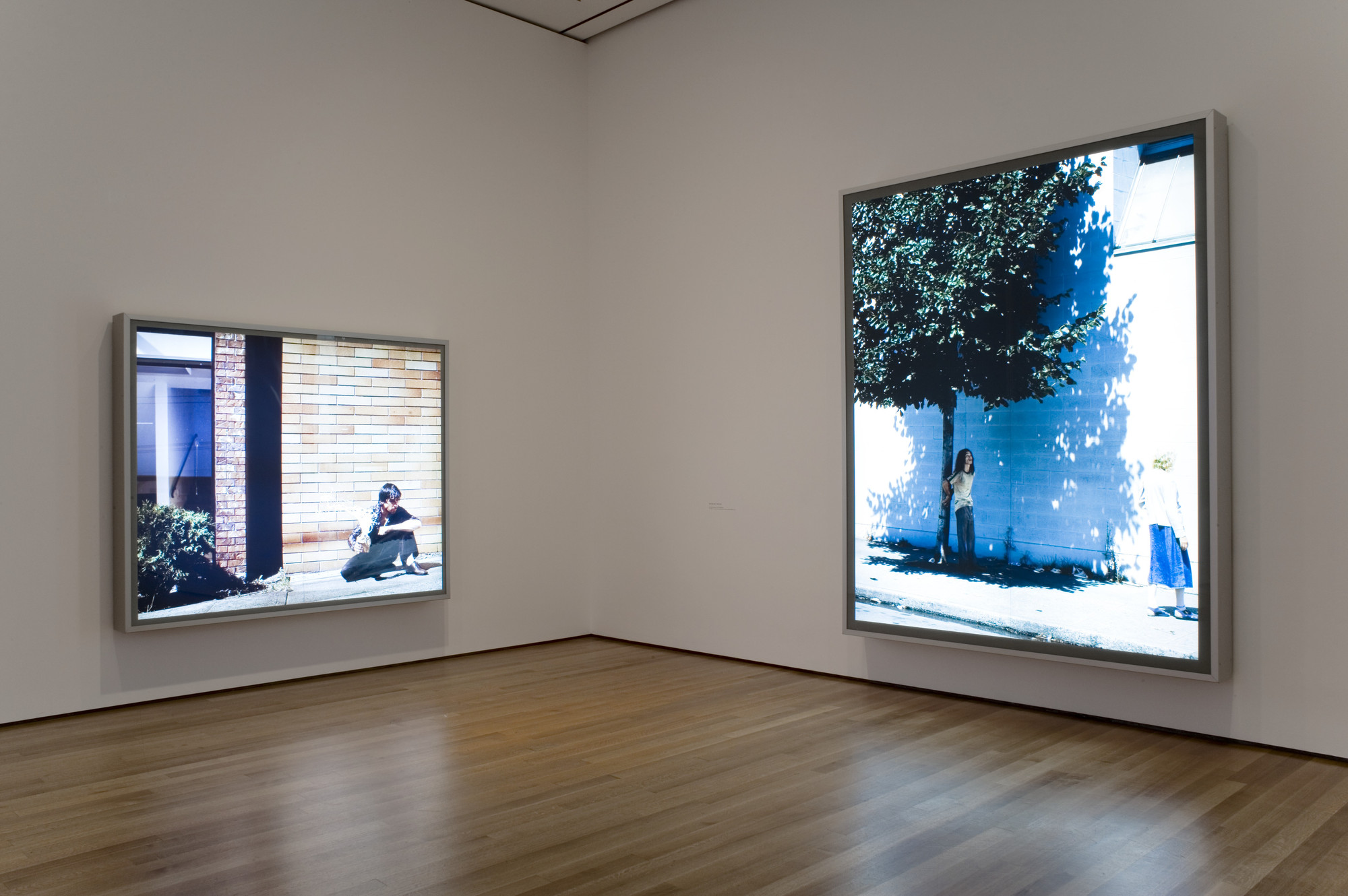 Installation view of the exhibition "Jeff Wall" | MoMA