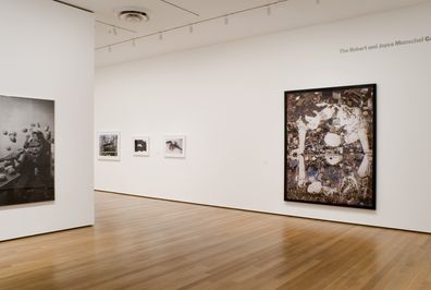 Anna Blume, Bernhard Blume. Kitchen Frenzy. 1986 | MoMA