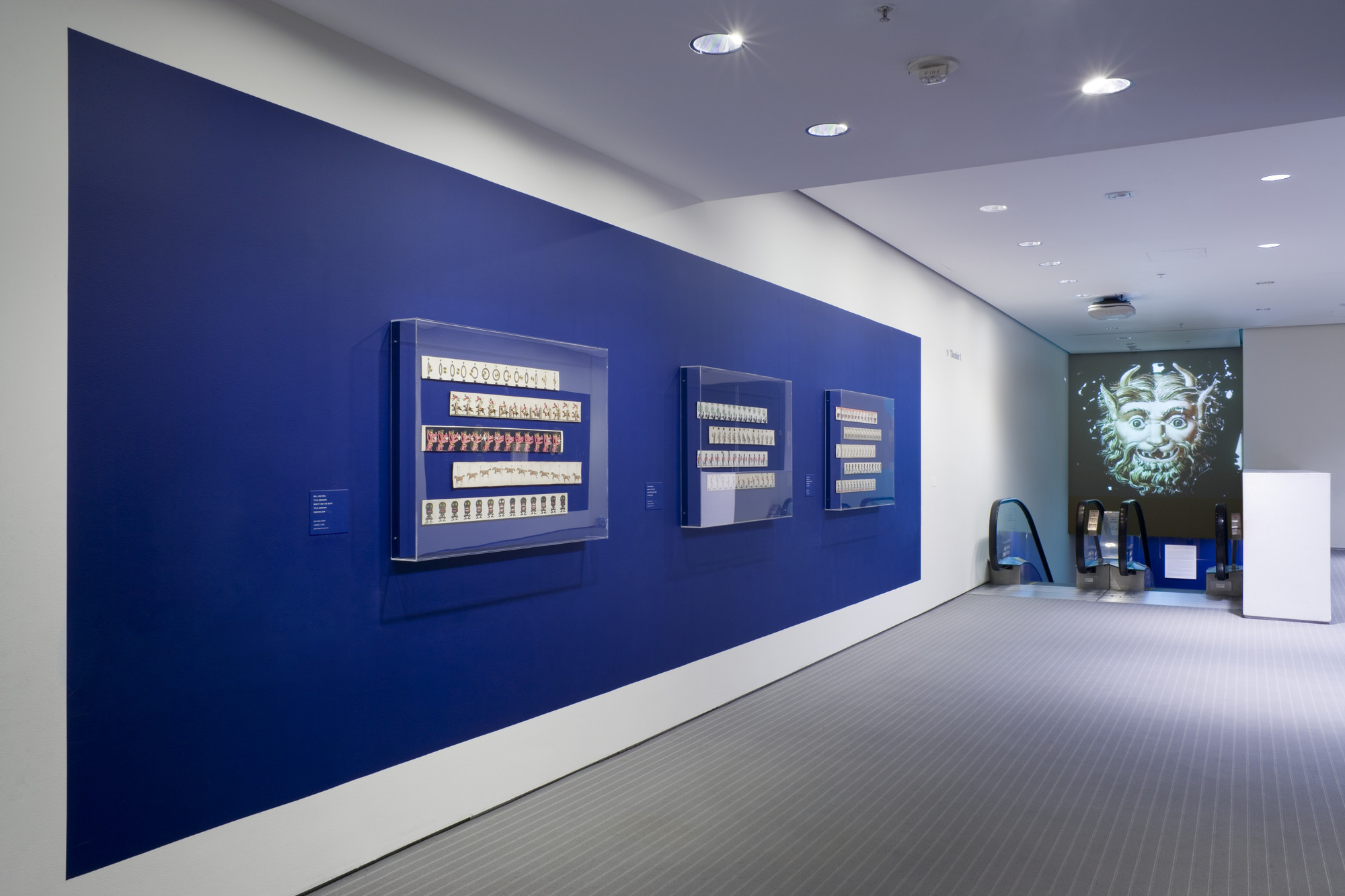 Installation view of the exhibition "Panoramas of the Moving Image ...