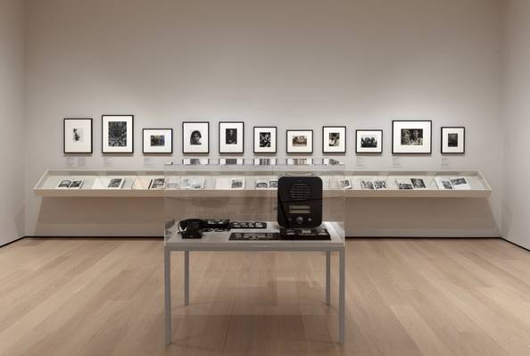 Edward Weston. Nahui Olín. 1923 | MoMA