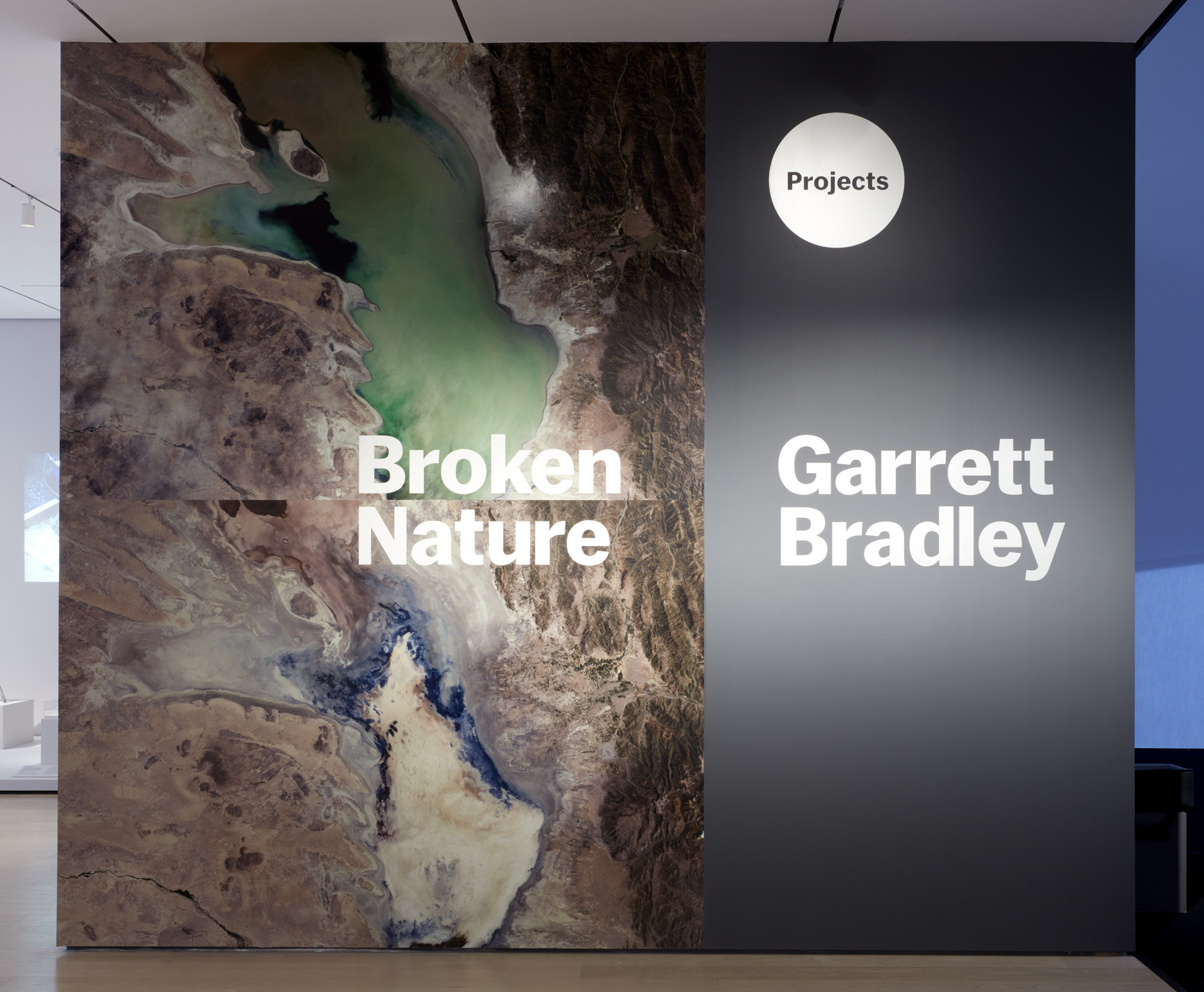 Installation view of the exhibition "Broken Nature" | MoMA