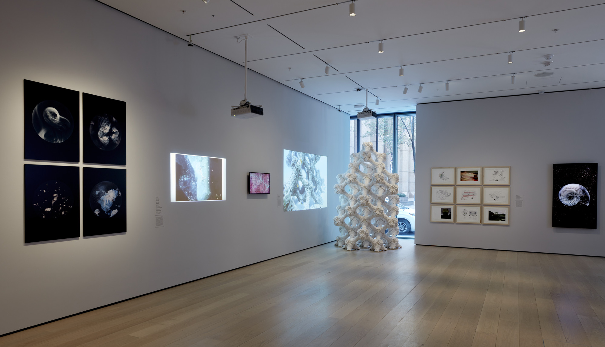 Installation view of the exhibition "Broken Nature" | MoMA