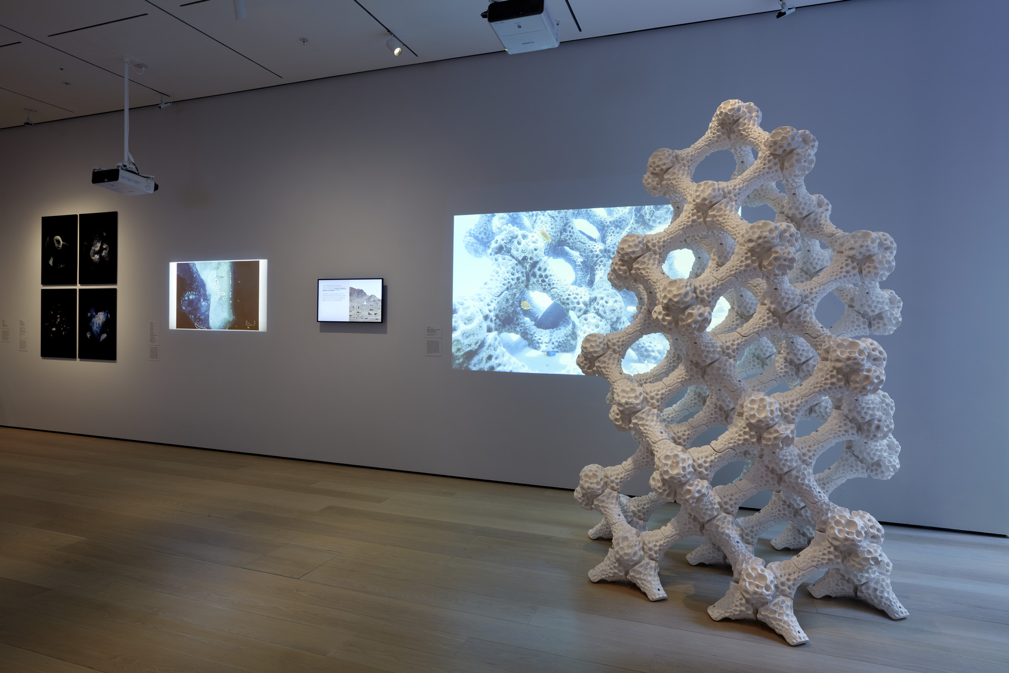 Installation view of the exhibition "Broken Nature" | MoMA