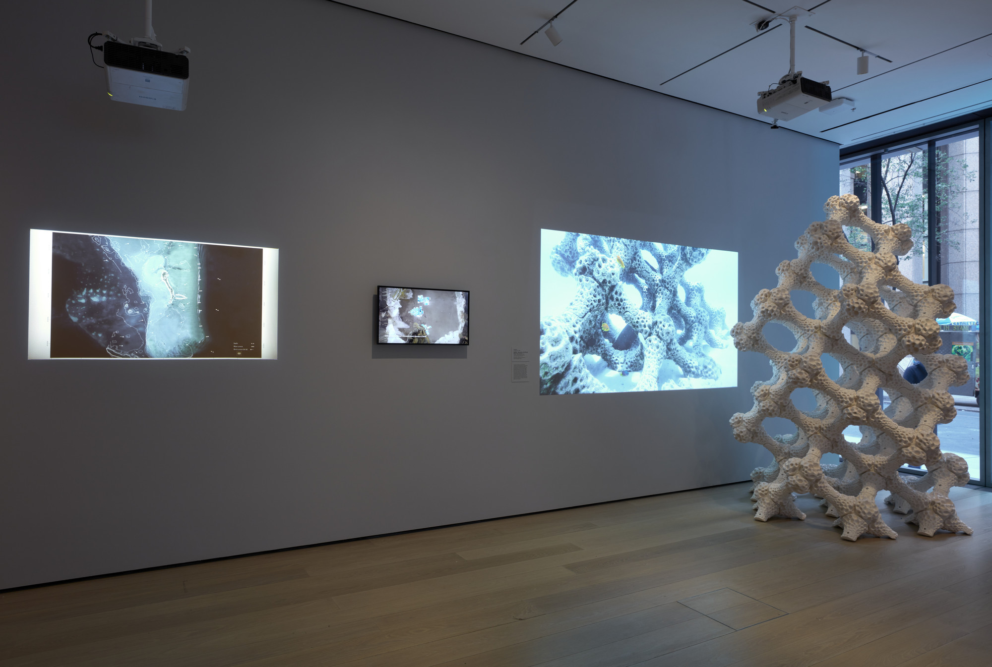 Installation view of the exhibition "Broken Nature" | MoMA