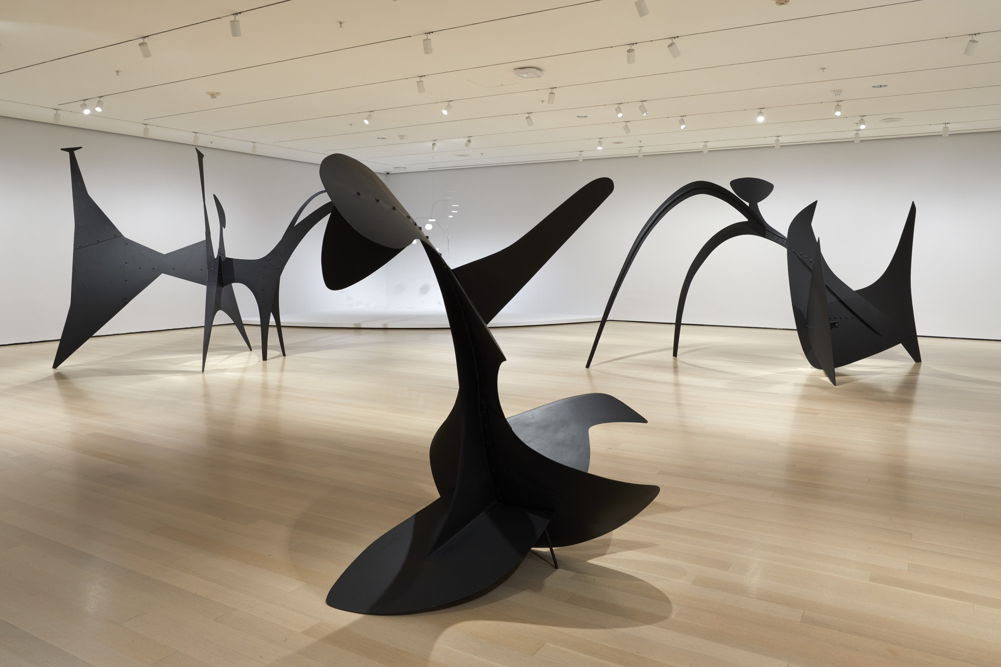 Installation view of the exhibition "Alexander Calder: Modern from the ...