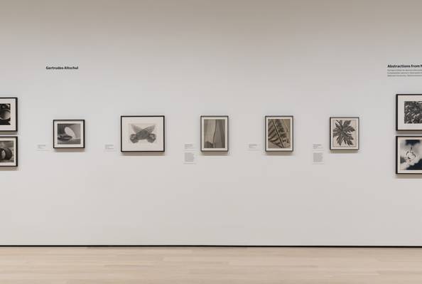 Gertrudes Altschul. Lines and Tones (Linhas e tons). 1953 | MoMA