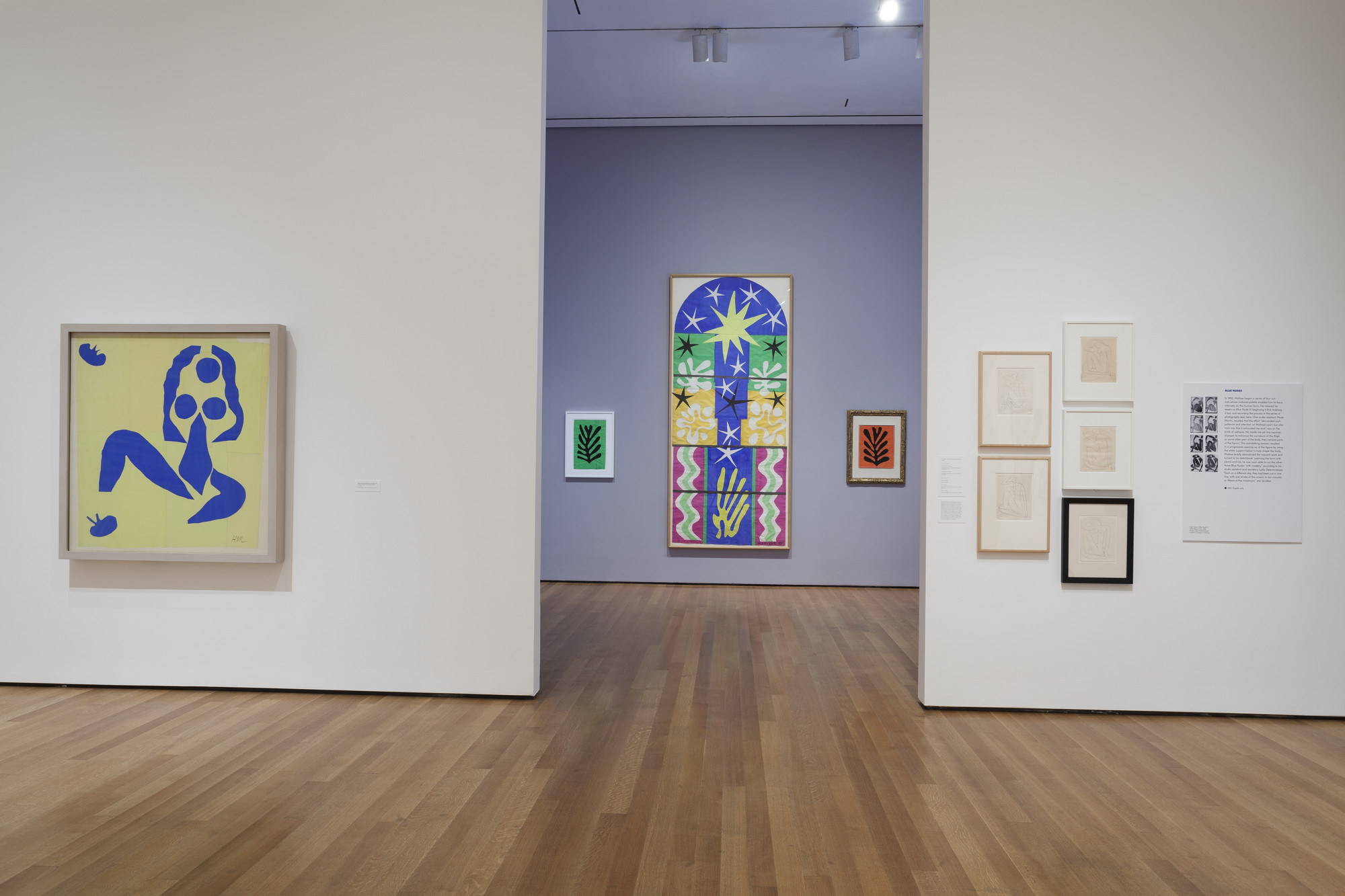 Installation view of the exhibition "Henri Matisse: The Cut-Outs" | MoMA