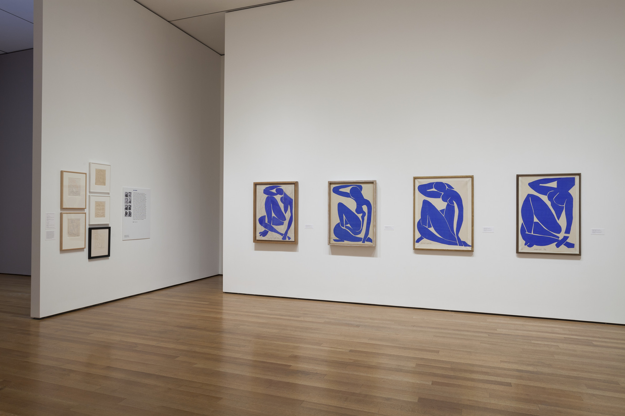 Installation view of the exhibition "Henri Matisse: The Cut-Outs" | MoMA