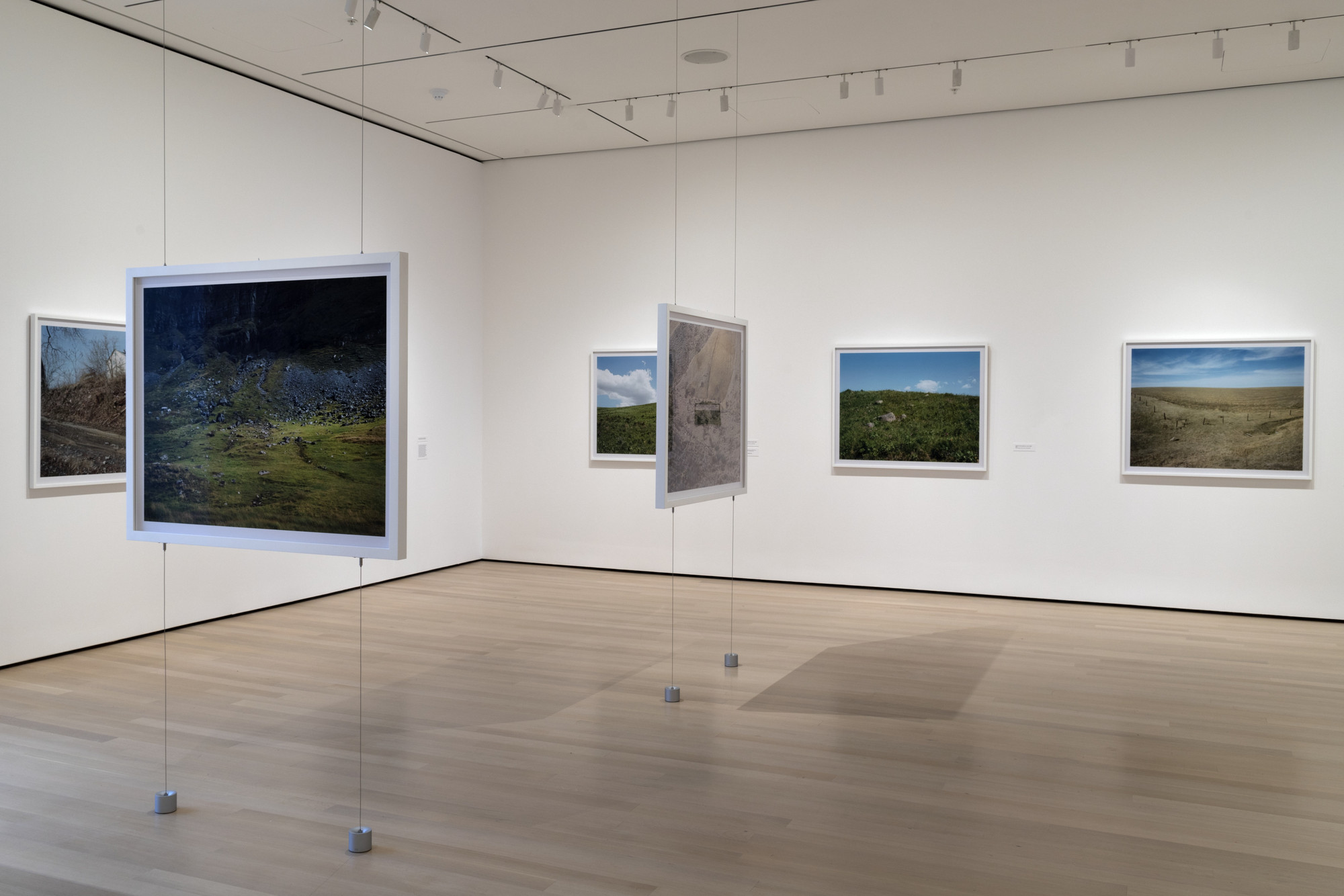 Installation view of the exhibition "Stephen Shore" | MoMA