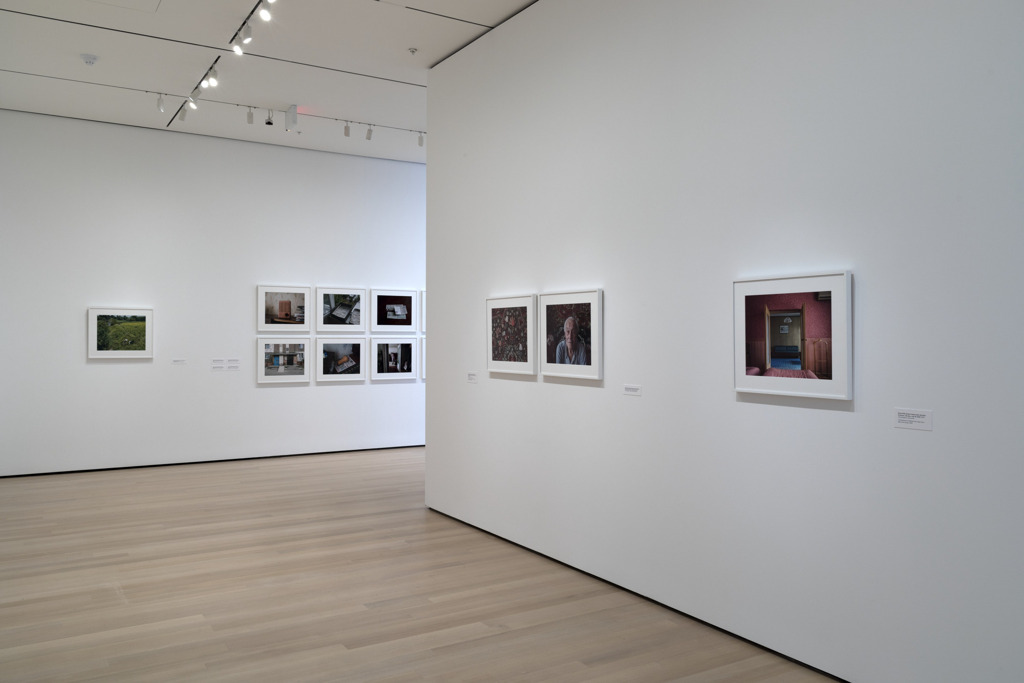 Installation view of the exhibition "Stephen Shore" | MoMA