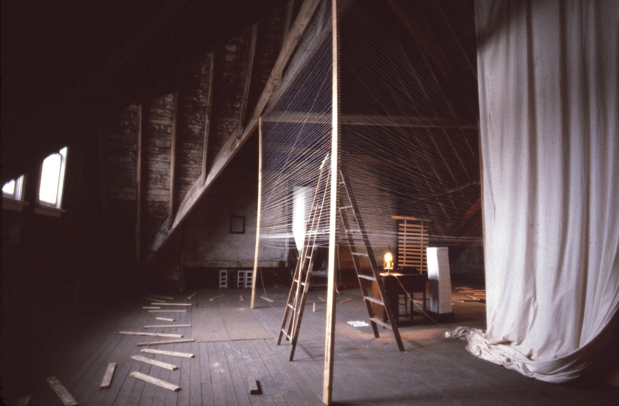 Installation view of Renée Green's installation "Site of Genealogy" in ...