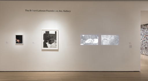 Sam Contis. Oil. 2015 | MoMA