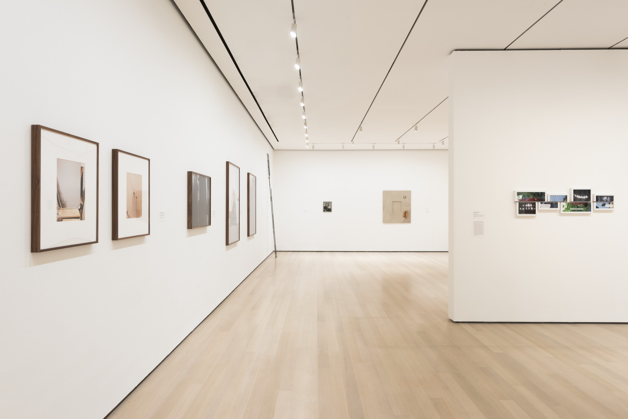 Installation view of the exhibition "Being: New Photography 2018" | MoMA