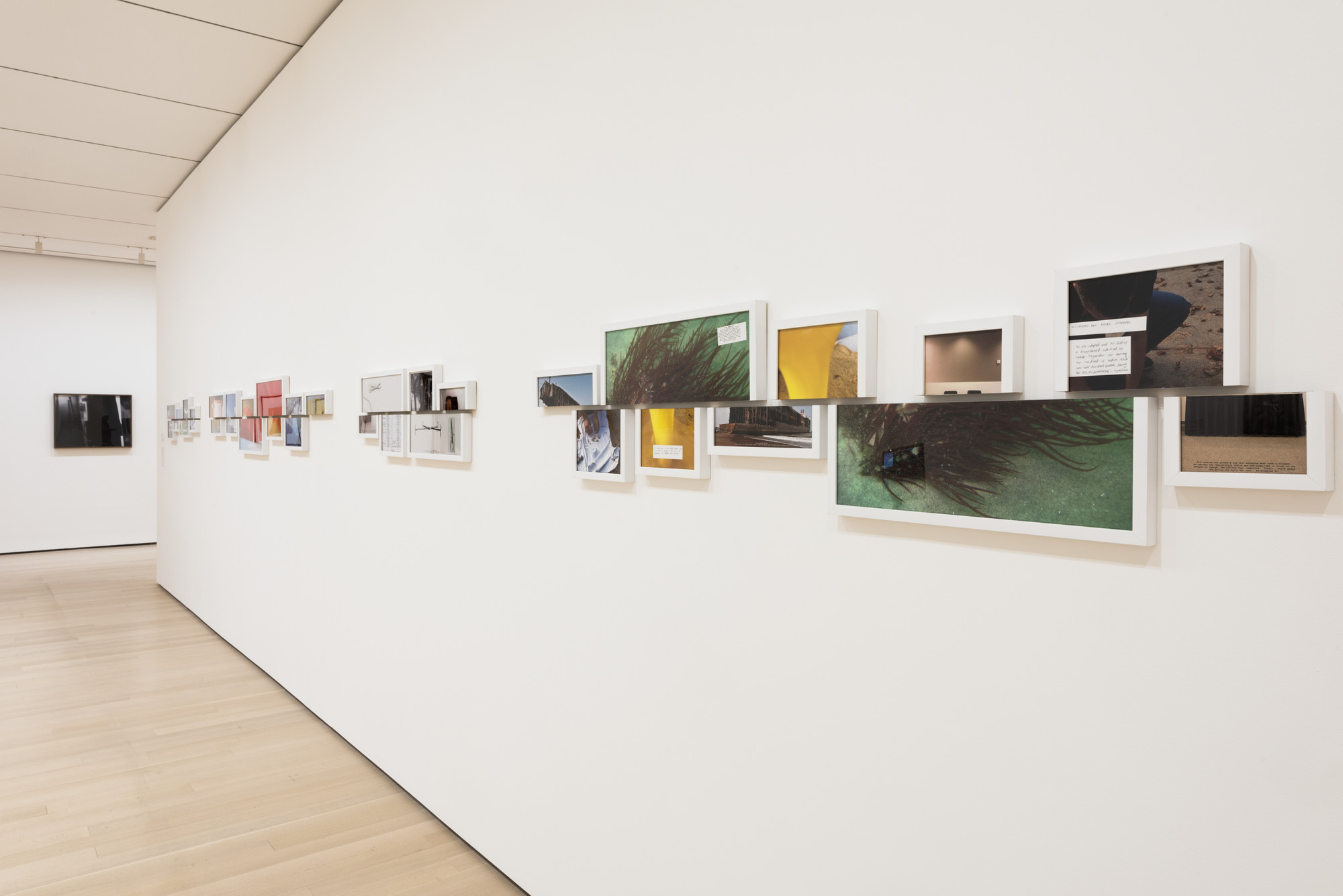 Installation view of the exhibition "Being: New Photography 2018" | MoMA
