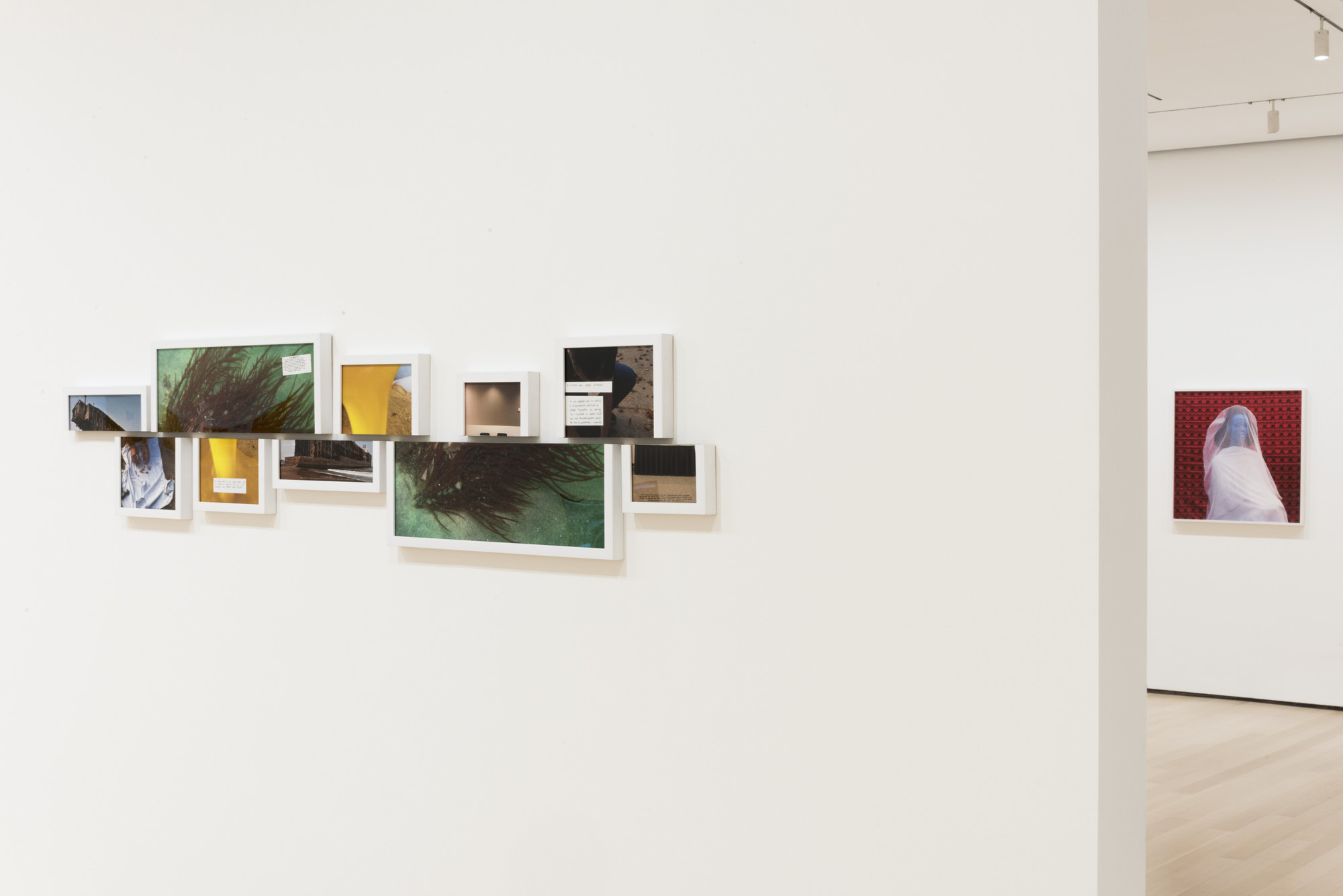 Installation view of the exhibition "Being: New Photography 2018" | MoMA
