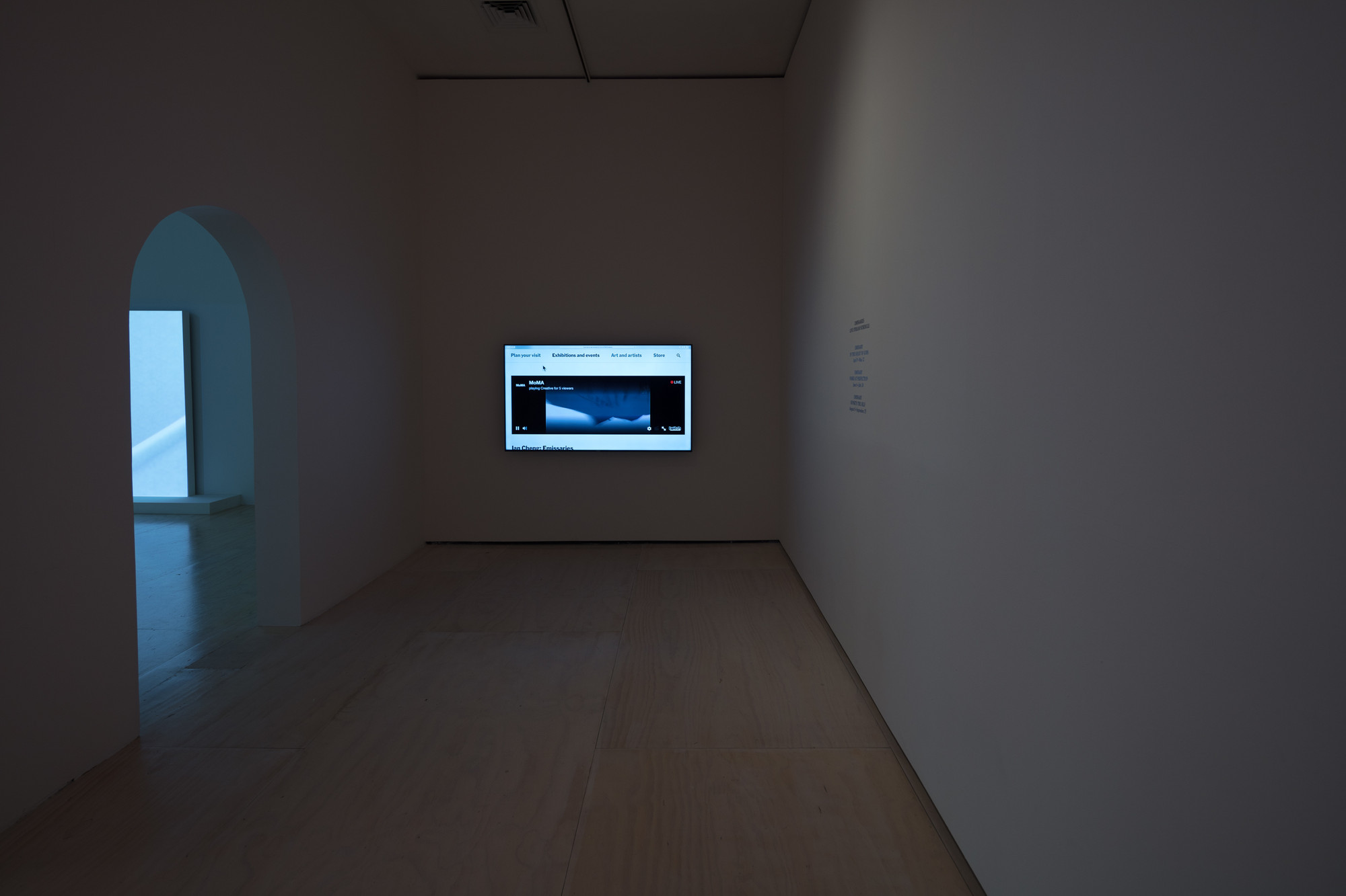Installation view of the exhibition "Ian Cheng: Emissaries" | MoMA