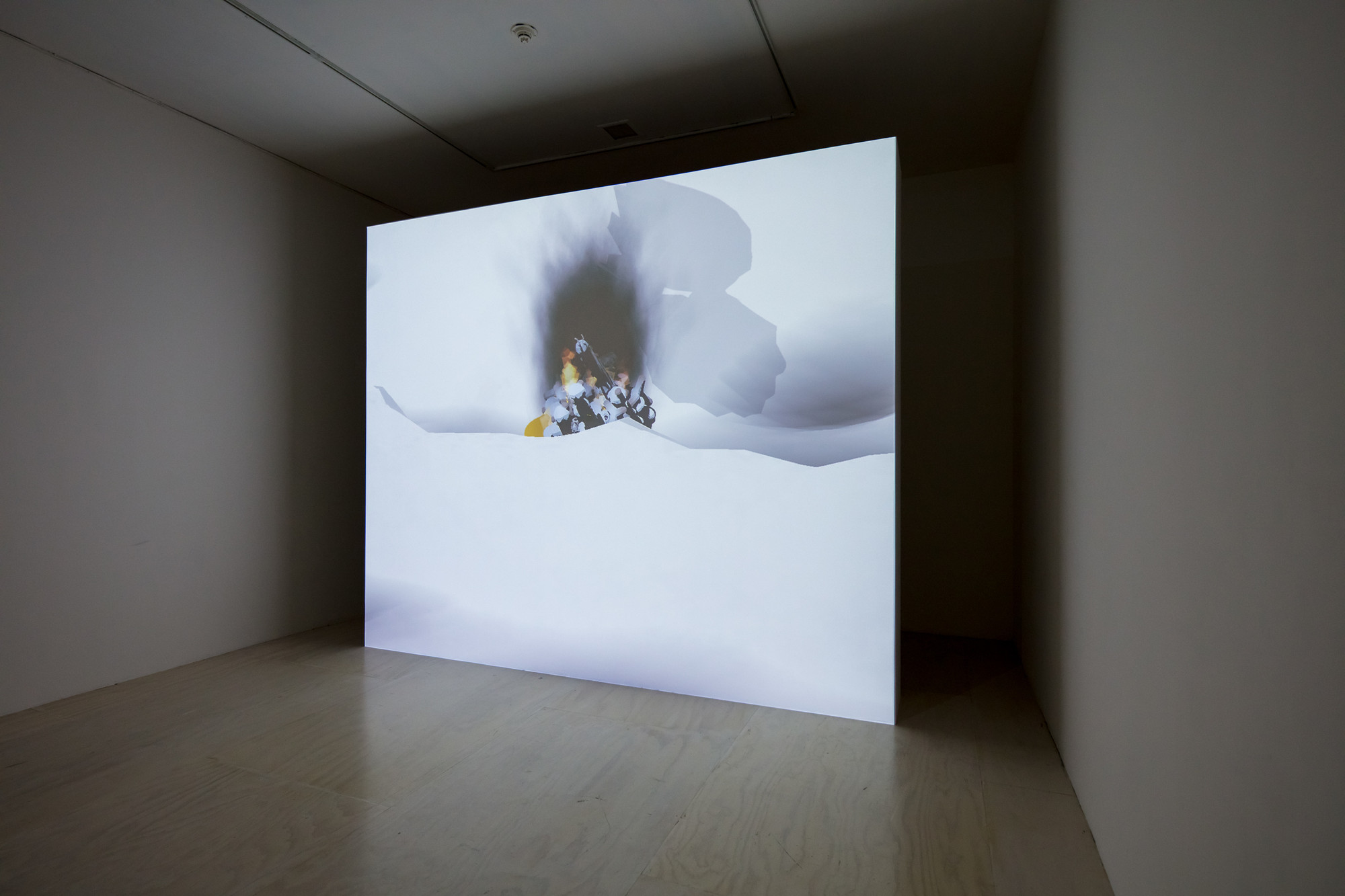 Installation view of the exhibition "Ian Cheng: Emissaries" | MoMA