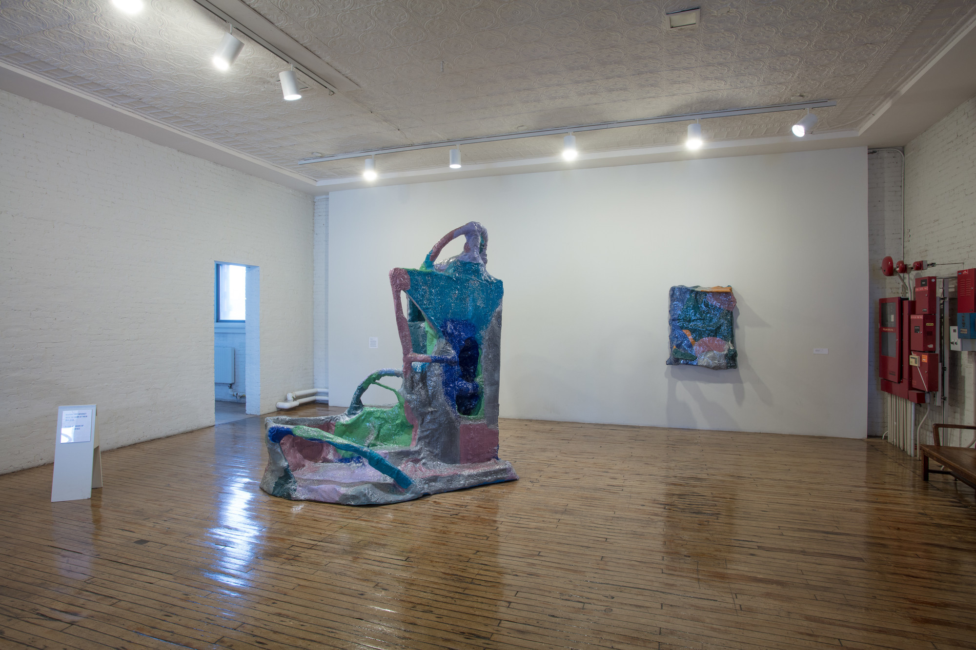 Installation view of the exhibition "Past Skin" | MoMA