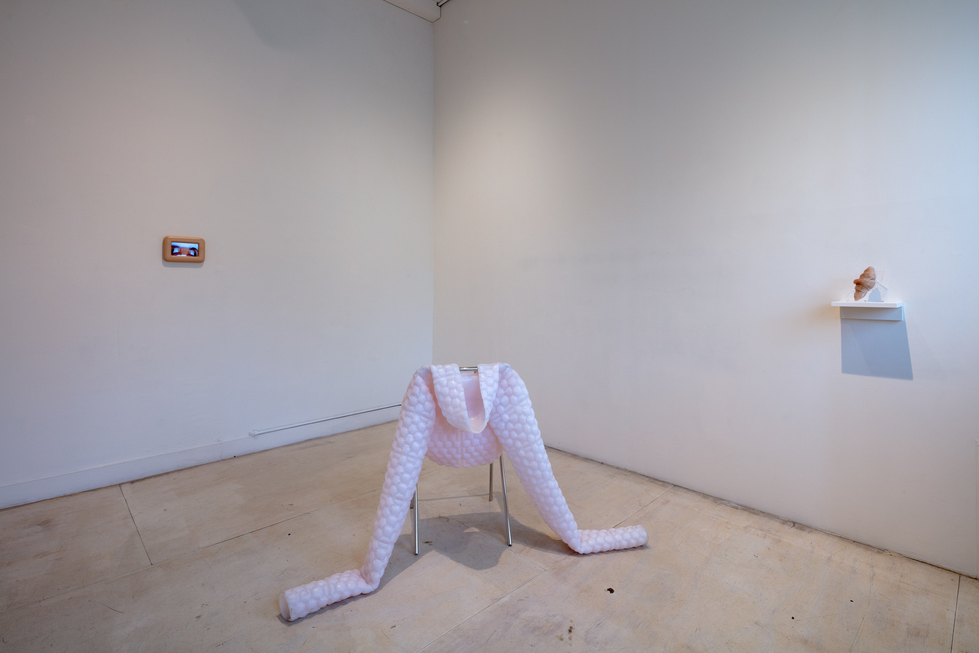 Installation view of the exhibition "Past Skin" | MoMA