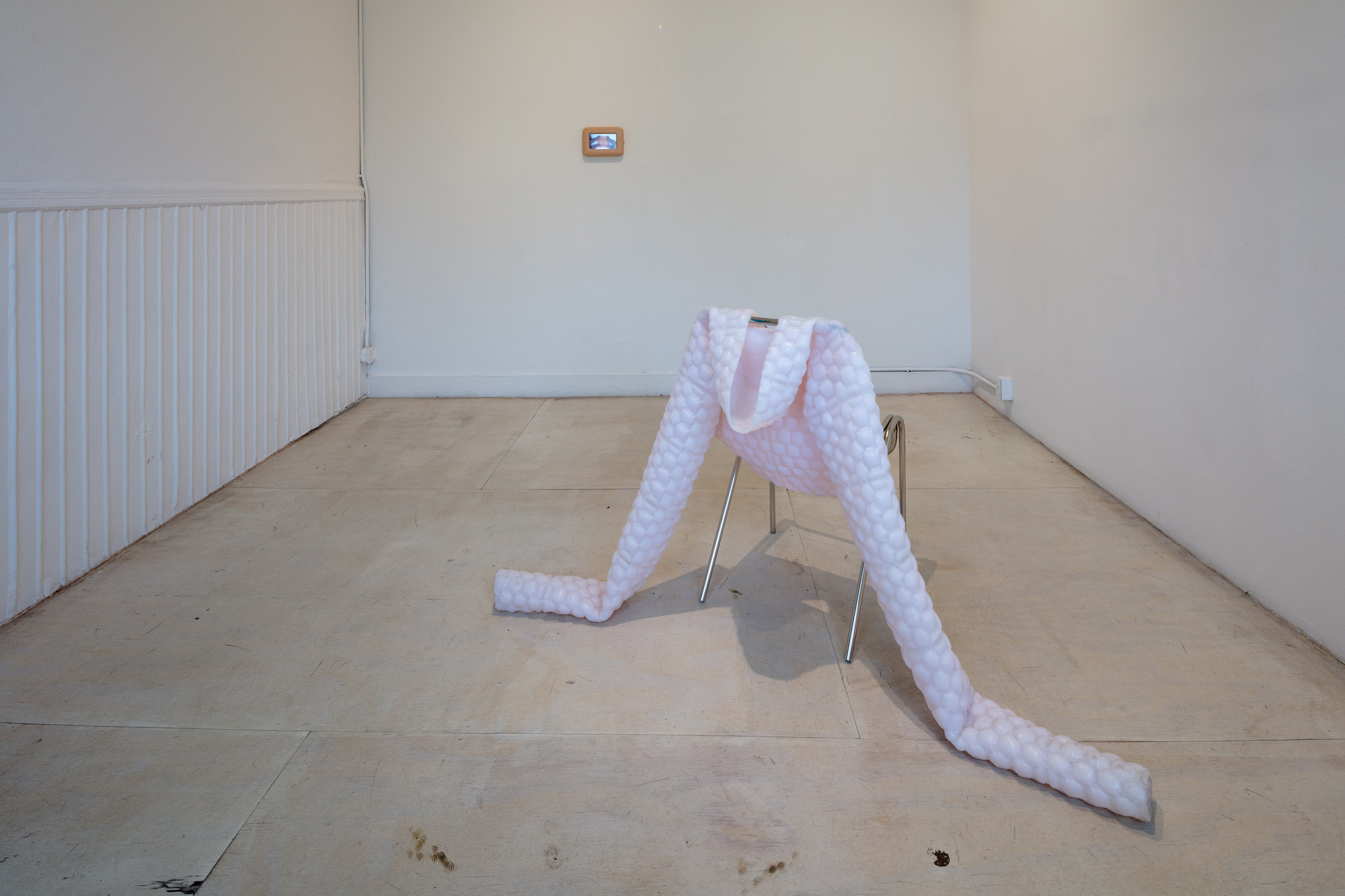 Installation view of the exhibition "Past Skin" | MoMA