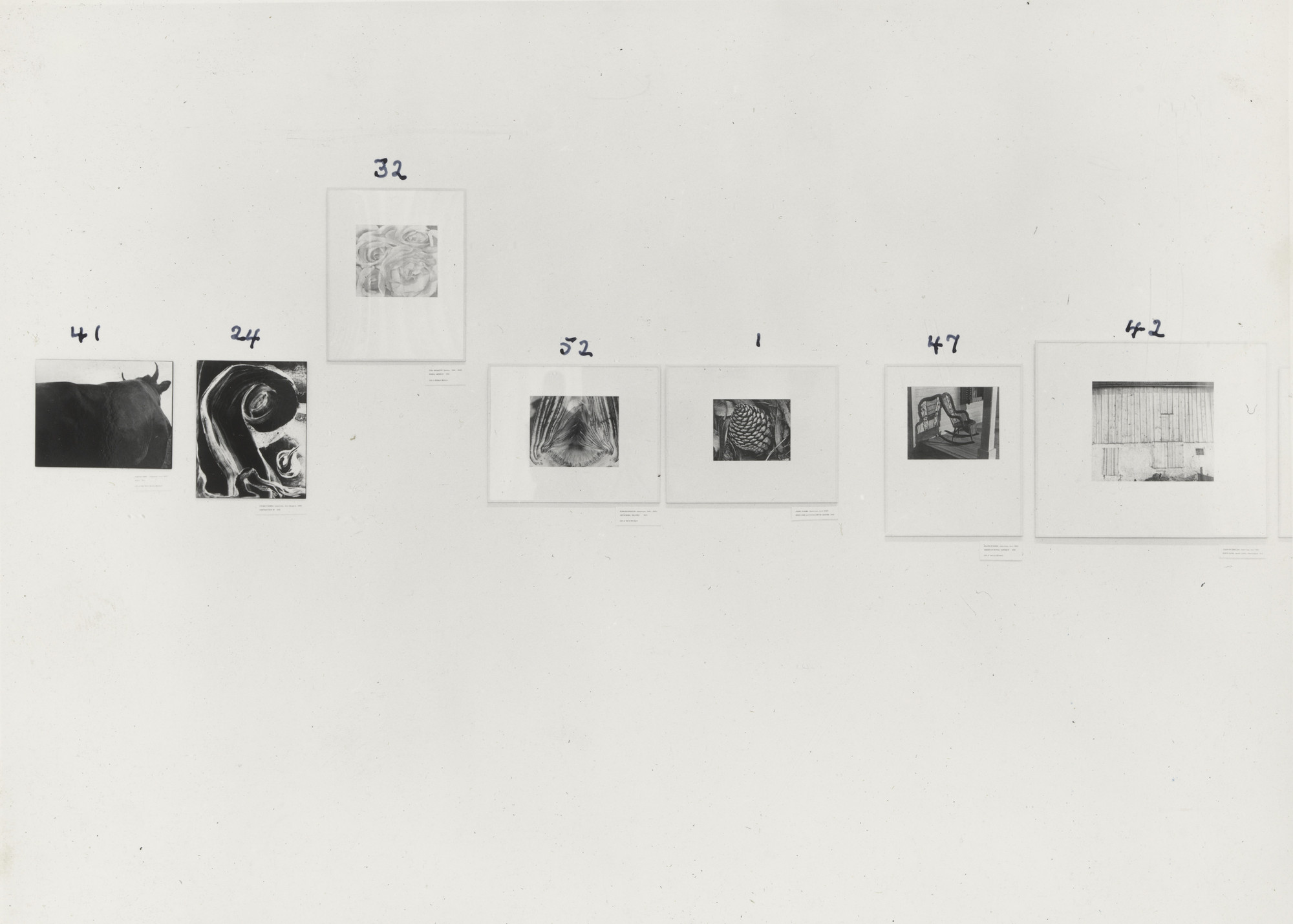 50 Photographs by 50 Photographers | MoMA