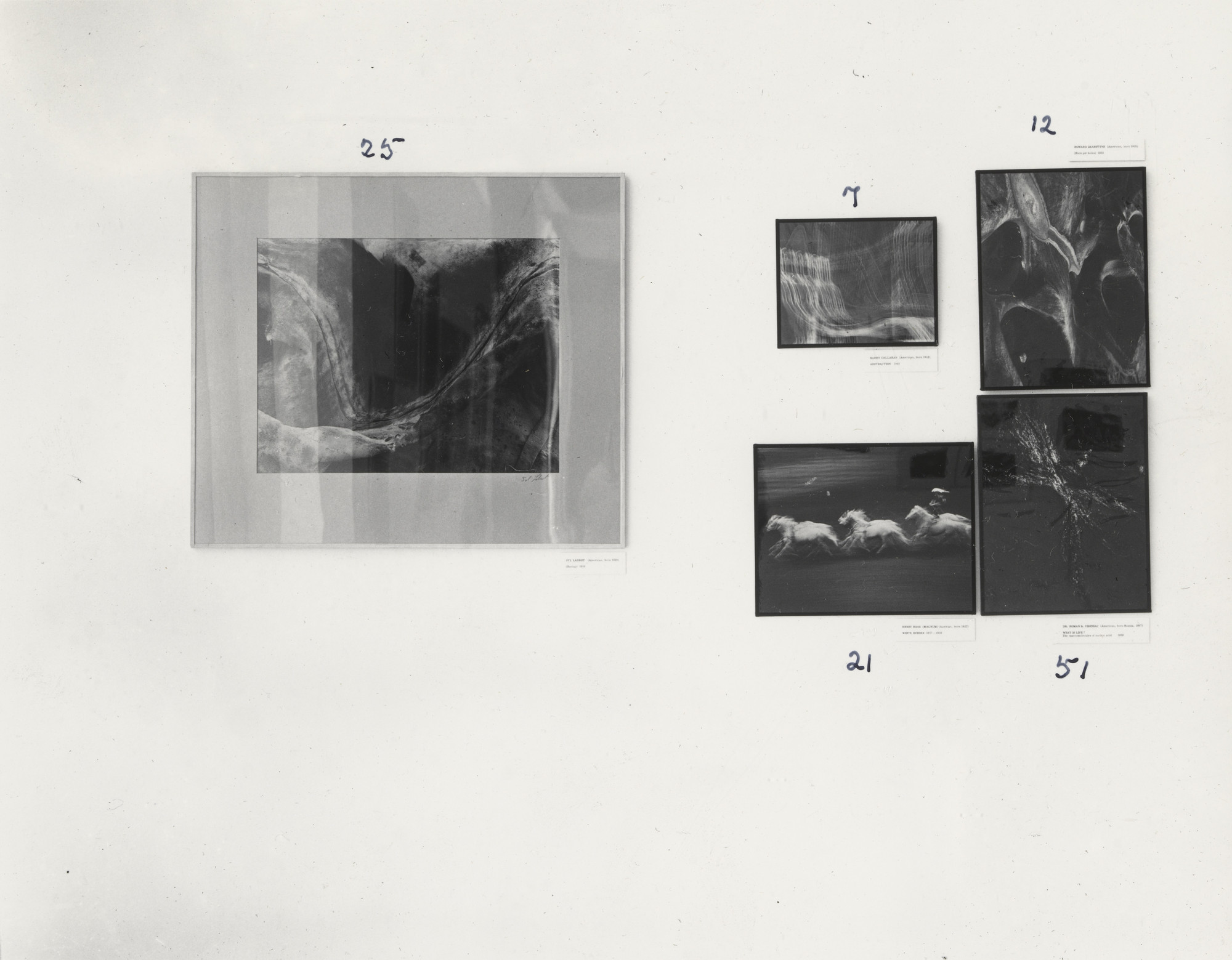 Installation view of the exhibition "50 Photographs by 50 Photographers ...