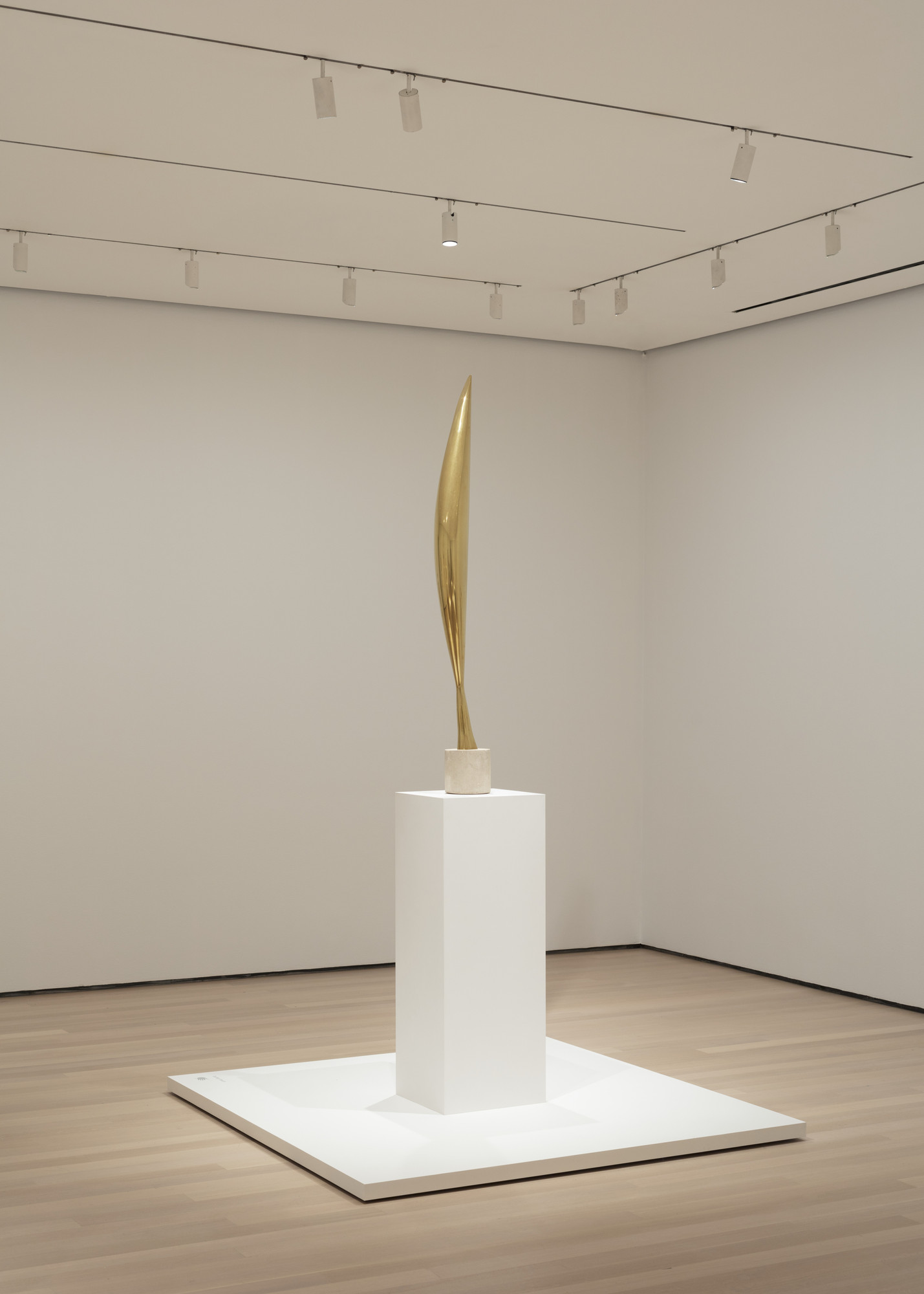 Installation view of the exhibition "Constantin Brancusi Sculpture" | MoMA