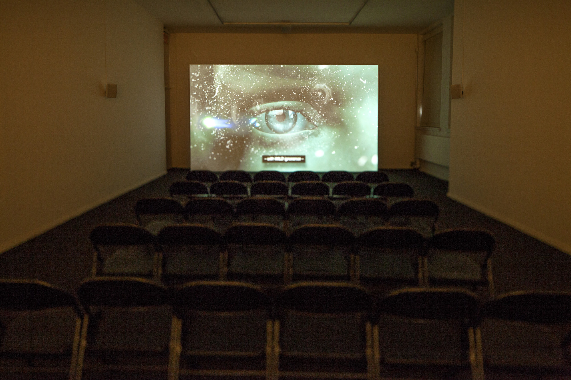 Installation view of the exhibition "Ed Atkins" | MoMA