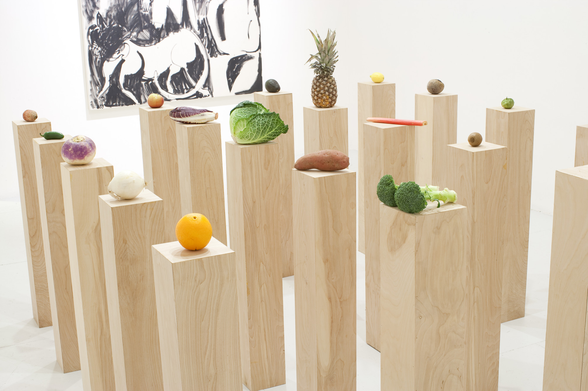 Installation view of the exhibition "Darren Bader: Images" | MoMA