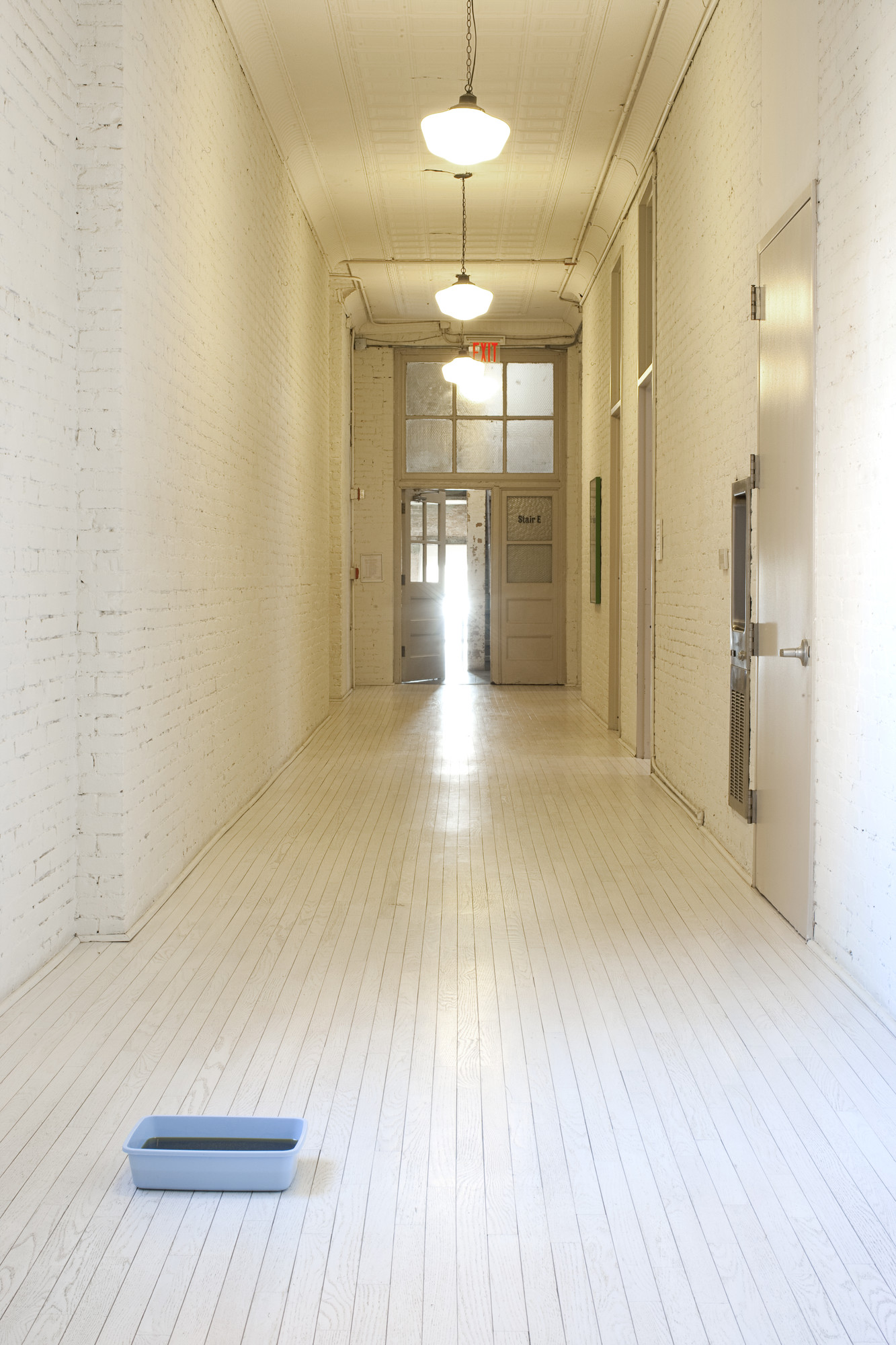 Installation view of the exhibition "Darren Bader: Images" | MoMA