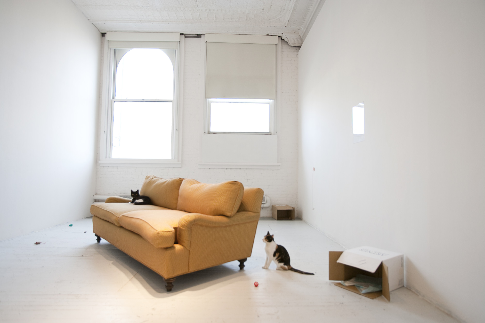 Installation view of the exhibition "Darren Bader: Images" | MoMA