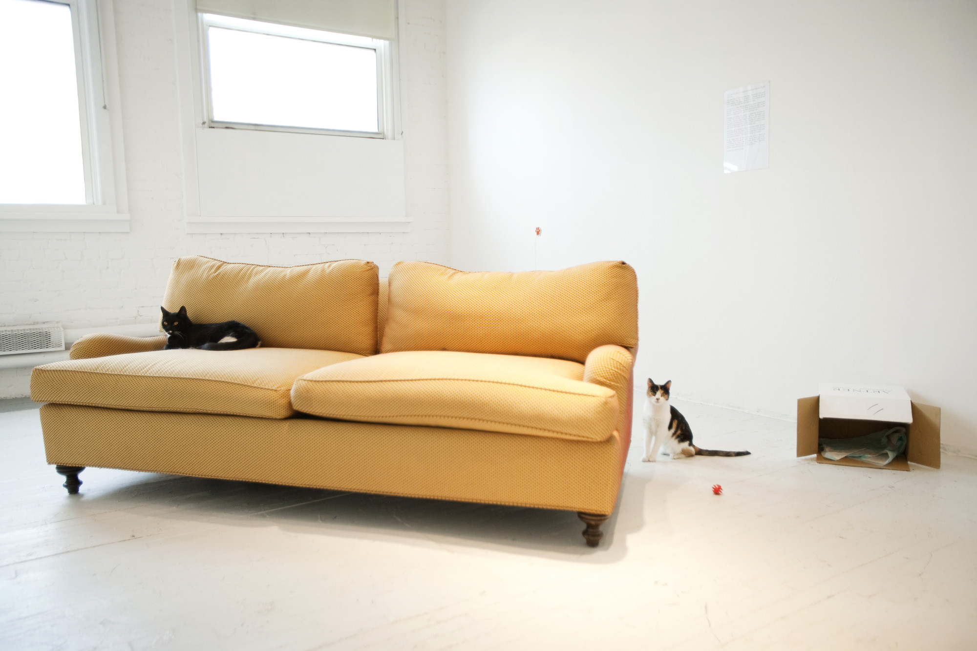 Installation view of the exhibition "Darren Bader: Images" | MoMA