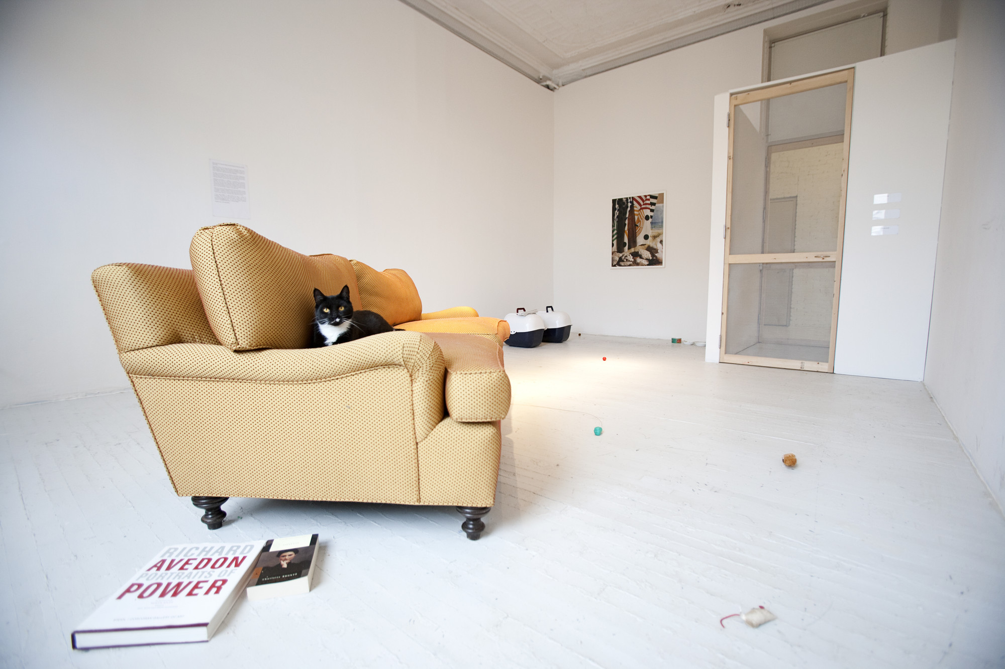 Installation view of the exhibition "Darren Bader: Images" | MoMA