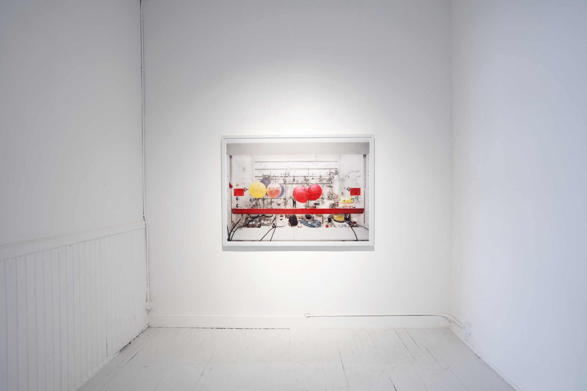 Installation view of the exhibition "Darren Bader: Images" | MoMA