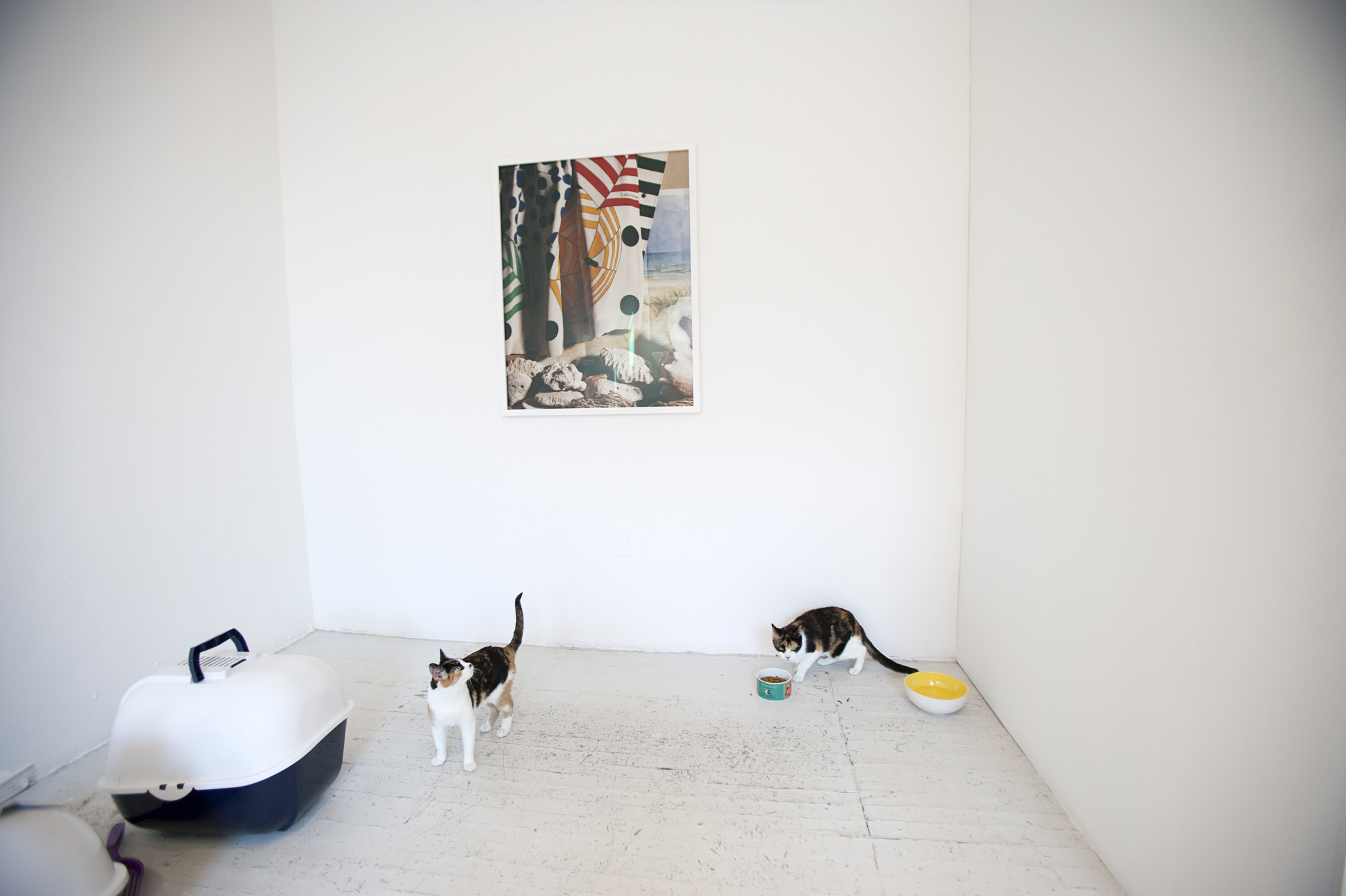 Installation view of the exhibition "Darren Bader: Images" | MoMA