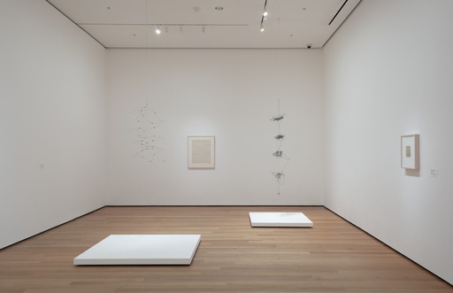 Gego (Gertrud Goldschmidt). Reticularea. 1973-76 | MoMA