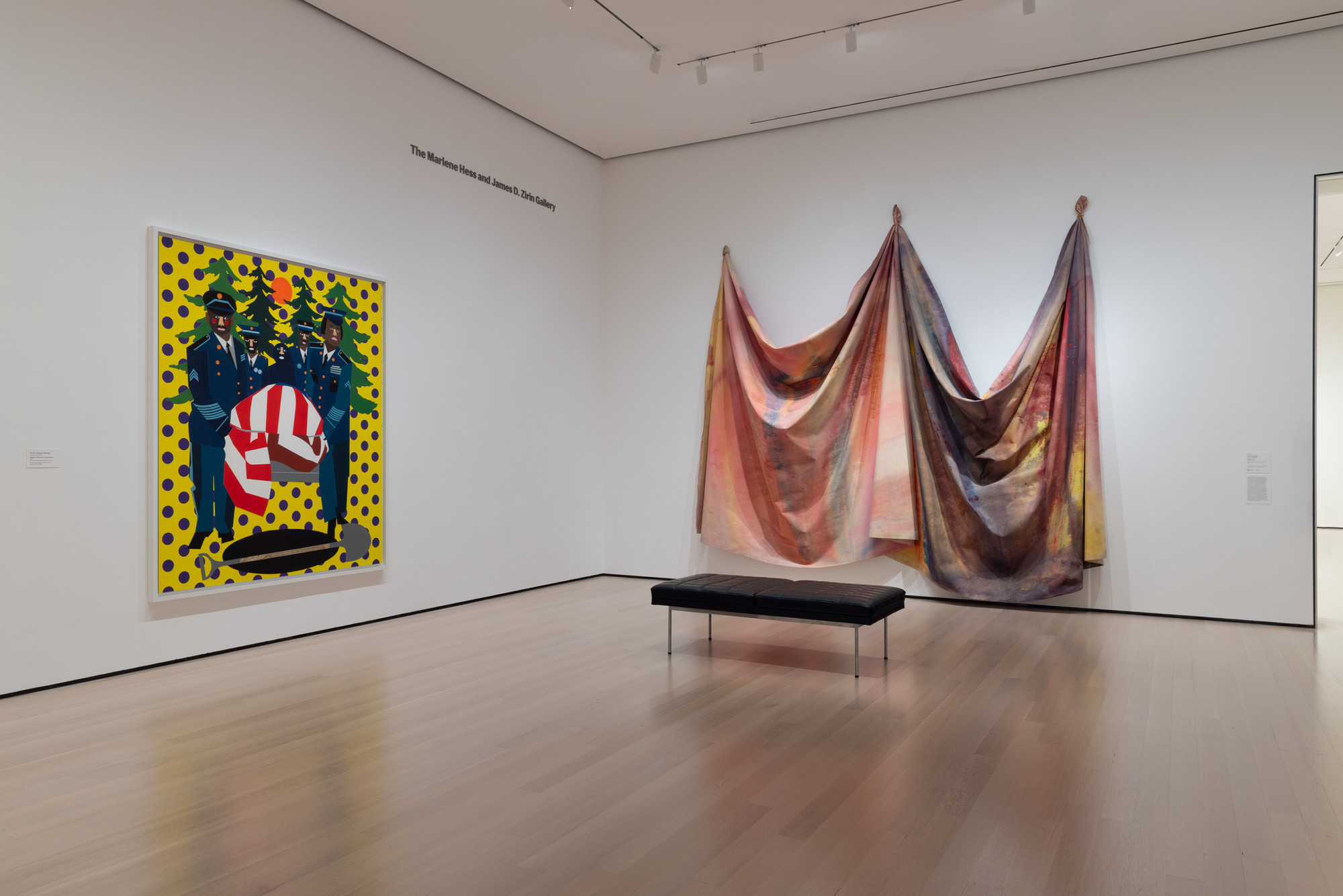 Installation view of the gallery "Divided States of America" in the ...