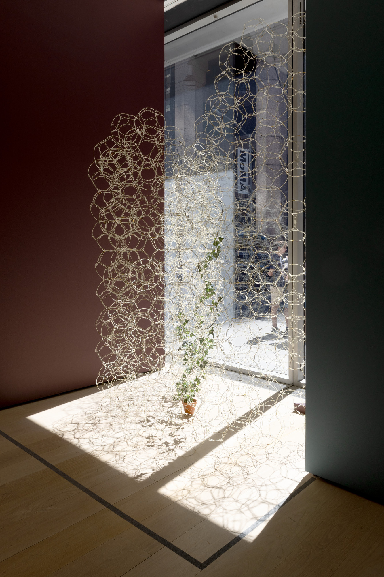 Installation view of the exhibition “Life Cycles: The Materials of ...