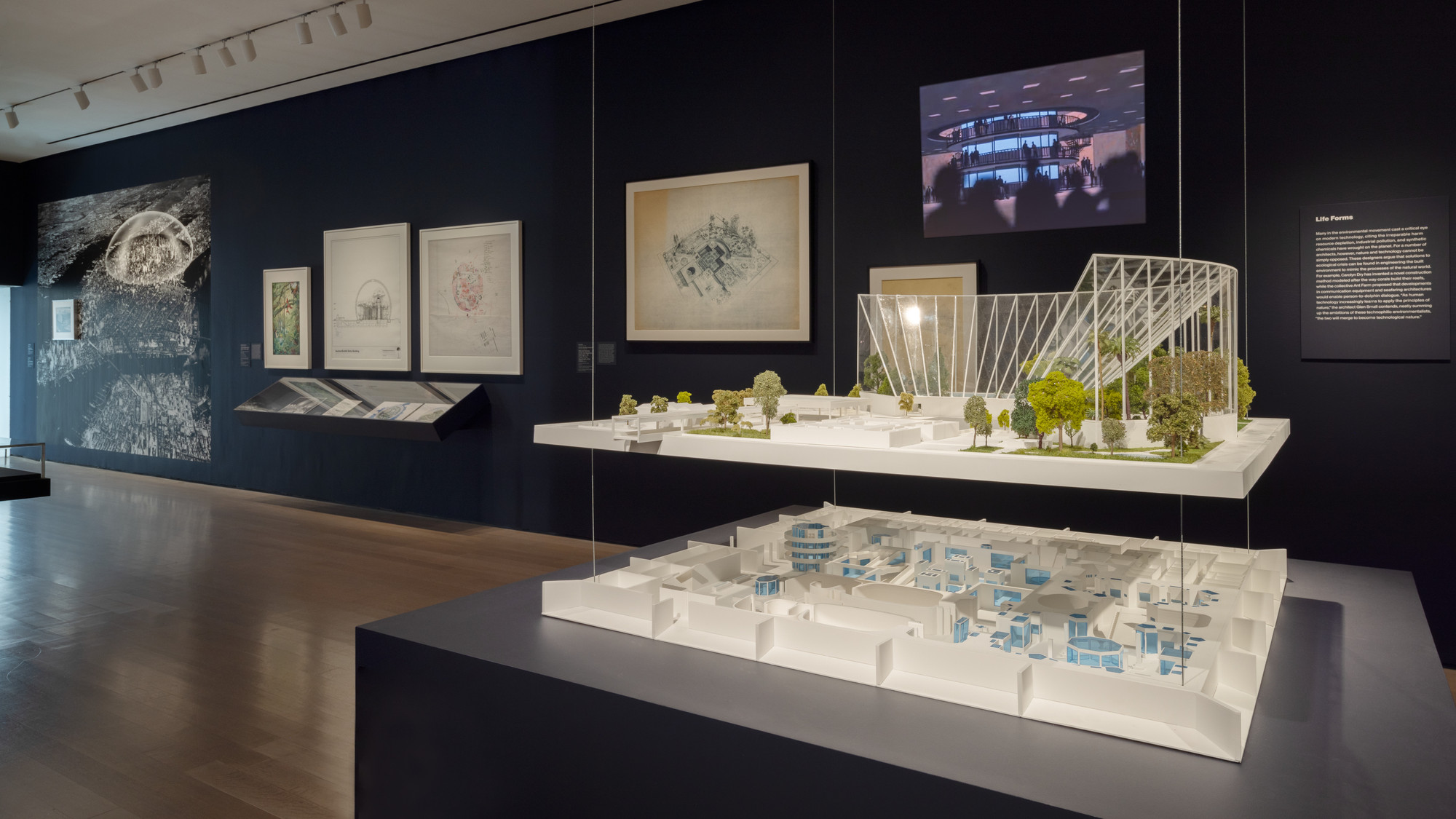 Installation view of the exhibition “Emerging Ecologies: Architecture ...