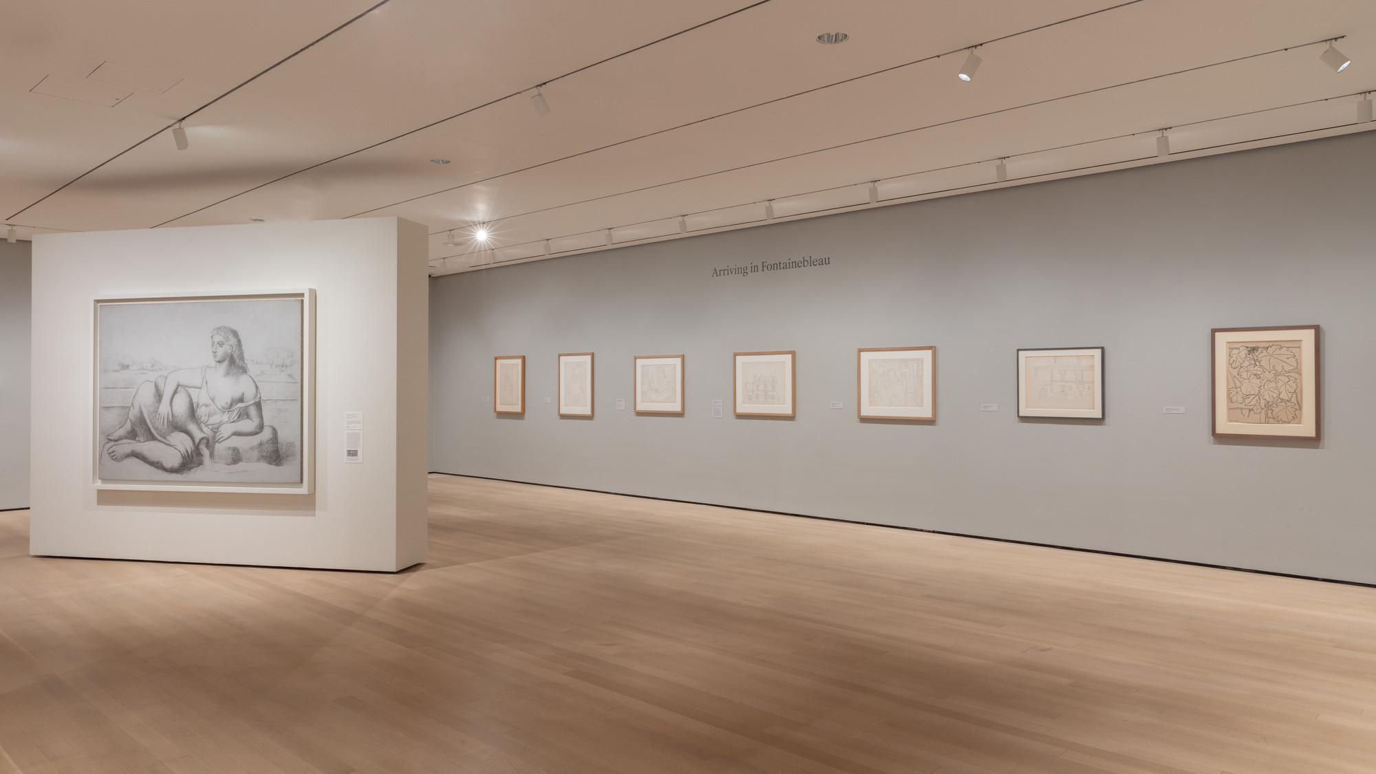 Installation view of the exhibition “Picasso in Fontainebleau" | MoMA