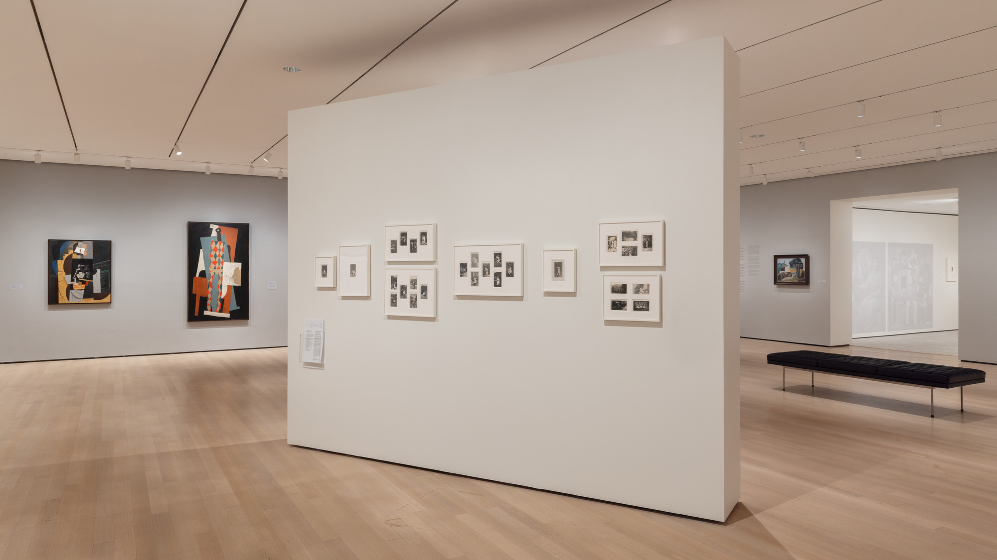 Installation view of the exhibition “Picasso in Fontainebleau" | MoMA