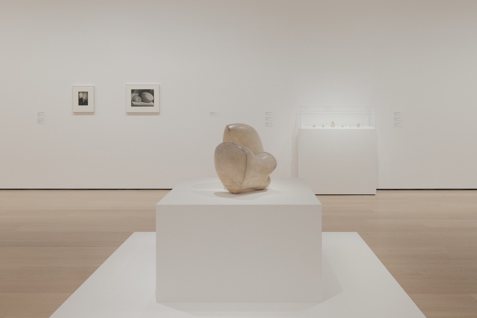 Installation view of the gallery “Plaster” in the exhibition ...