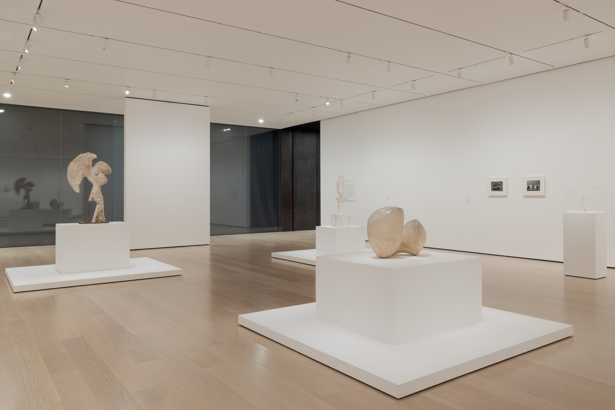Installation view of the gallery “Plaster” in the exhibition ...